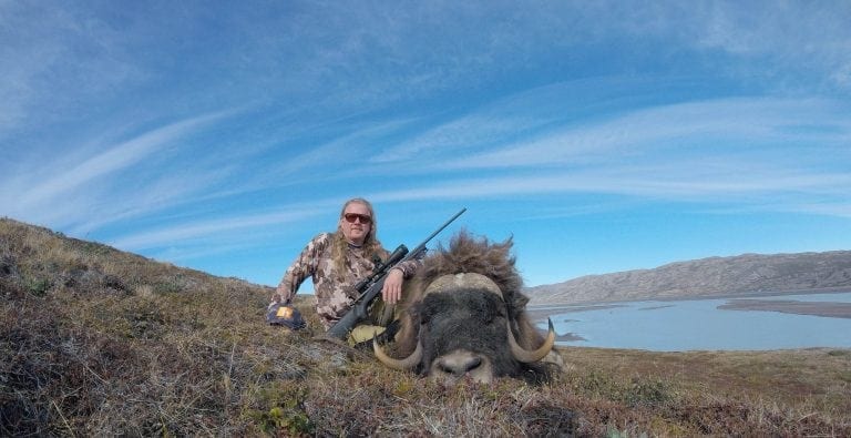 Muskox & Caribou Hunt North Armerica, Greenland, Archery/Rifle ...