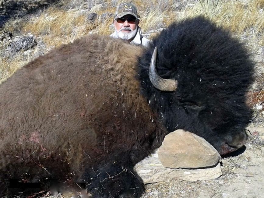 Mexico Buffalo Hunt | Journey Hunts with Matt Guedes