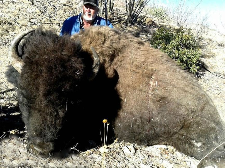 Mexico Buffalo Hunt | Journey Hunts with Matt Guedes
